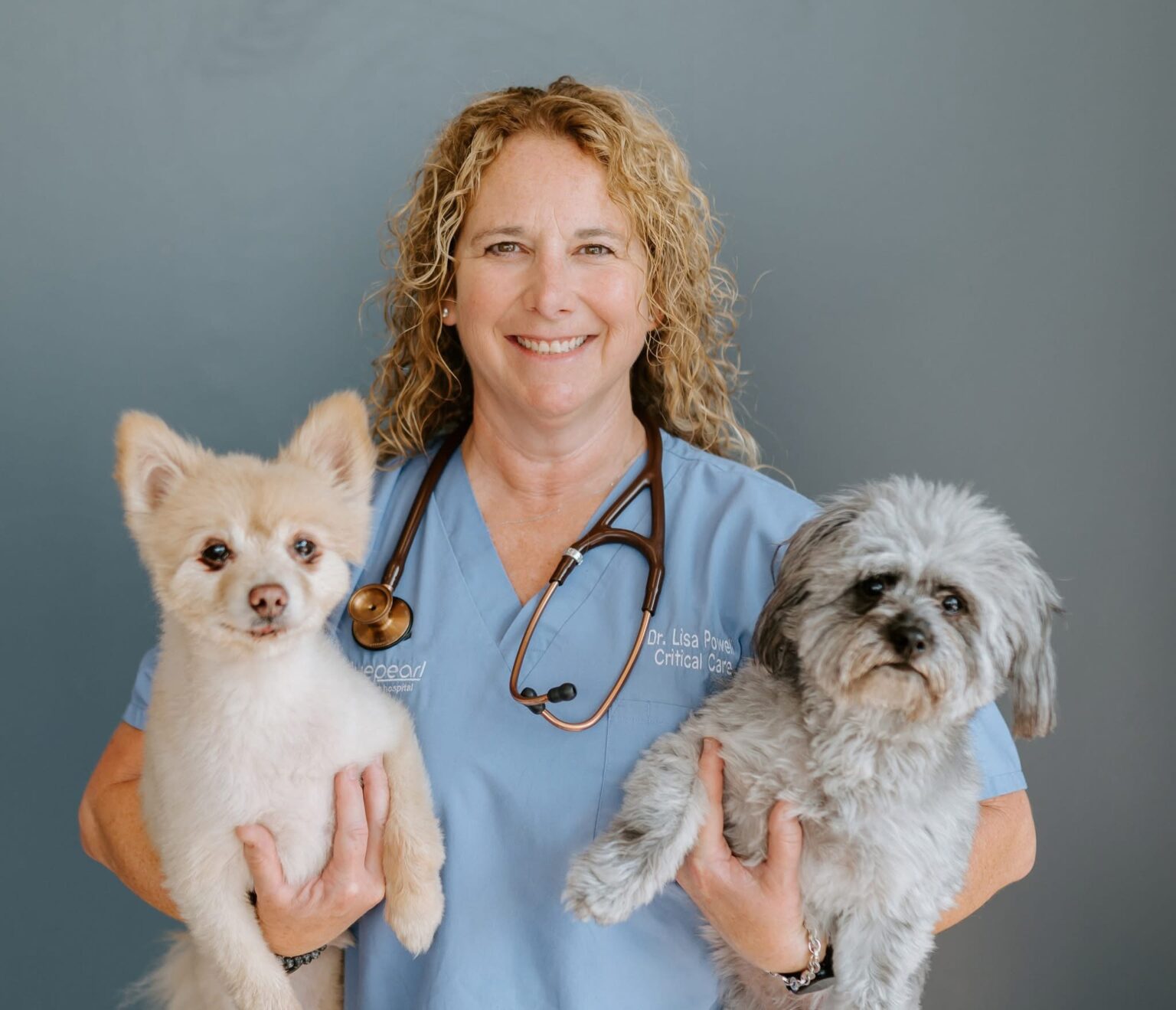 Dr. Lisa Powell - Emergency Critical Care | VetVacation CE