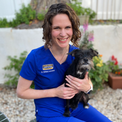 Dr. Brittany Lancellotti - Dermatology - VetVacation CE