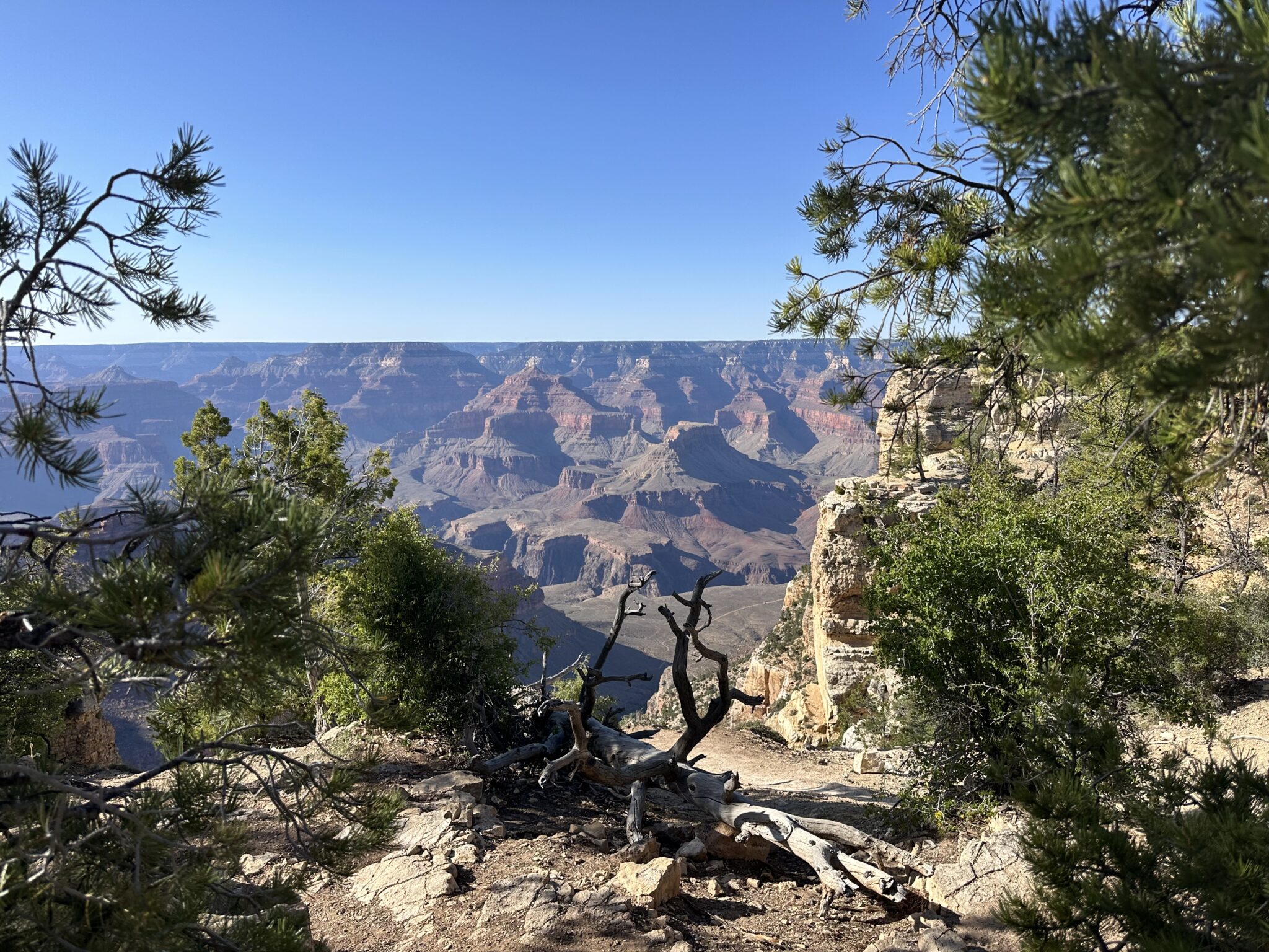 Grand Canyon Veterinary Conference 2026 VetVacation CE