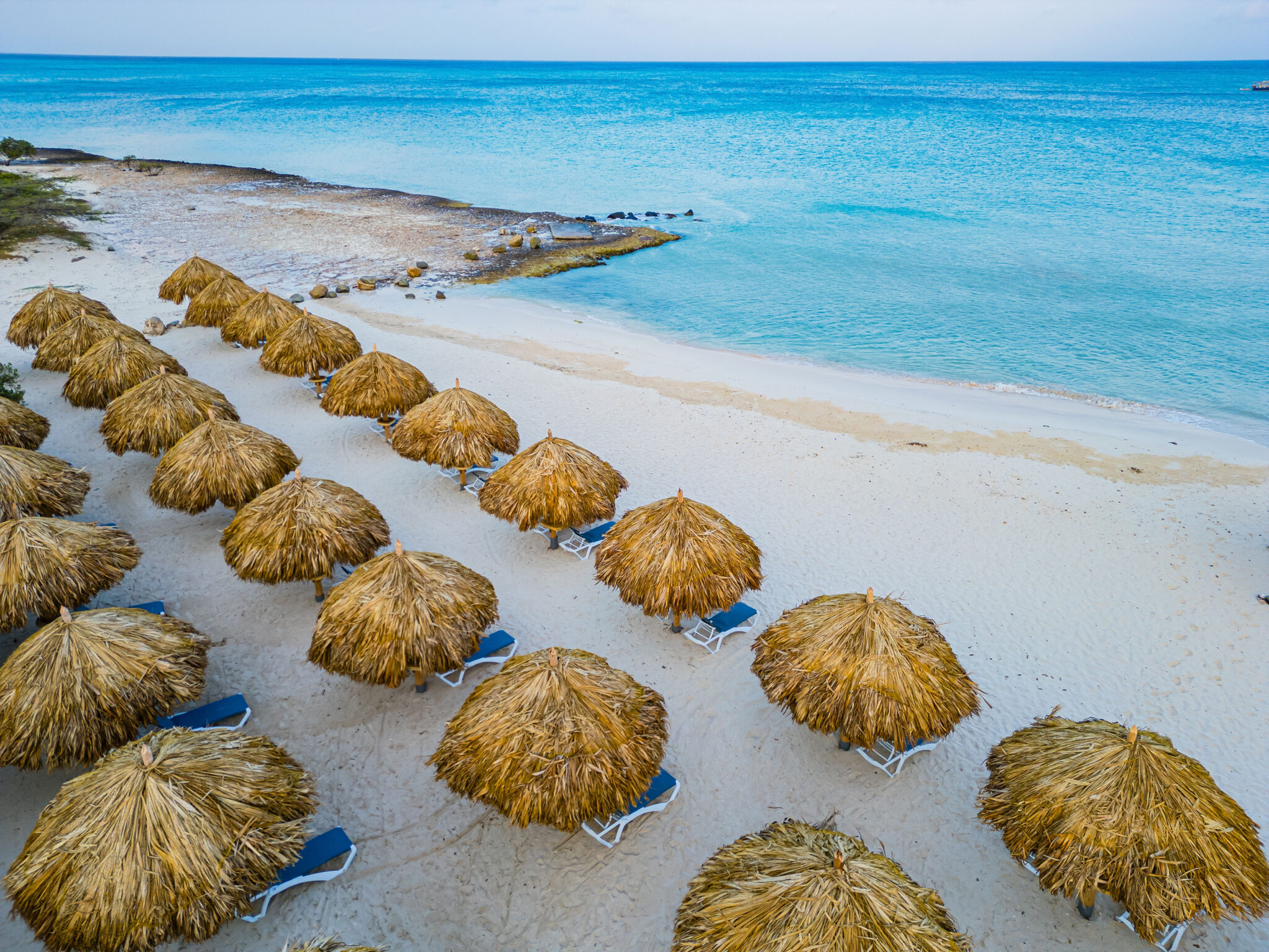 Aruba 2026 | VetVacation CE
