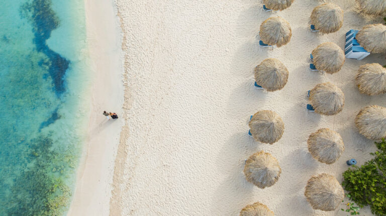 Aruba 2026 | VetVacation CE