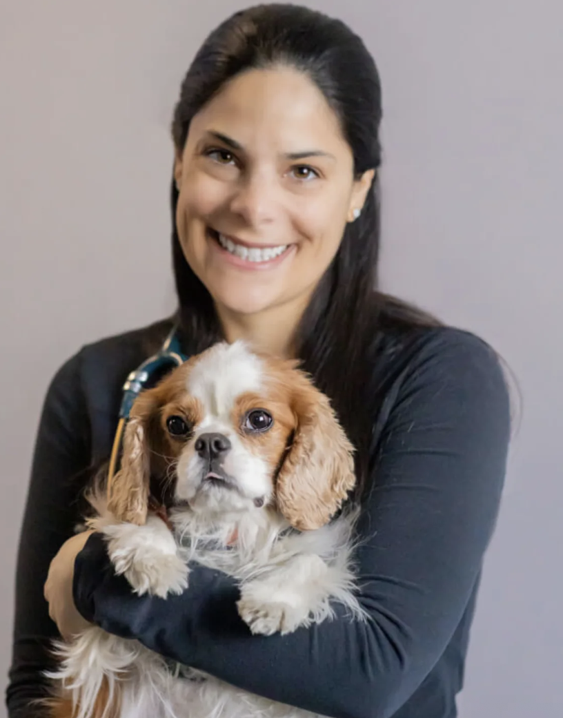 Dr. Kimberly Hassen - Anesthesia | VetVacation CE